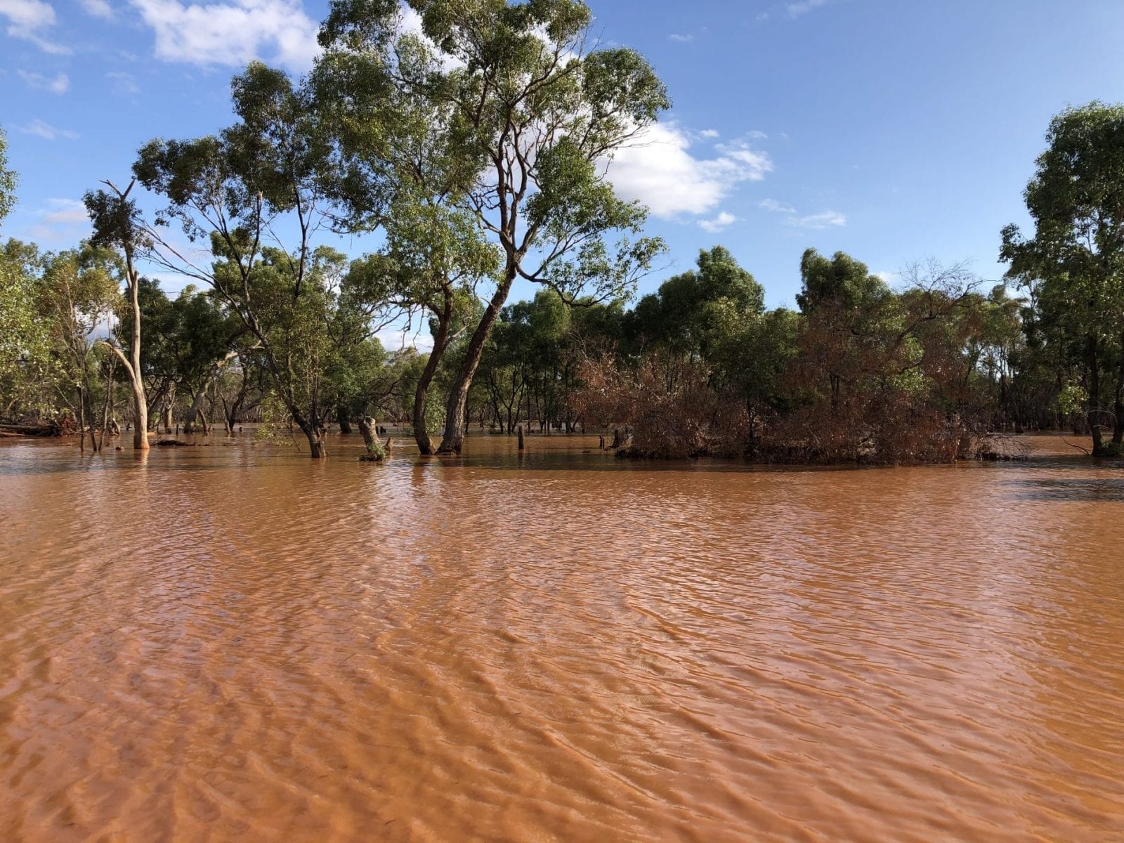Leadership & Performance Partners on the Road to Cobar - Leadership ...